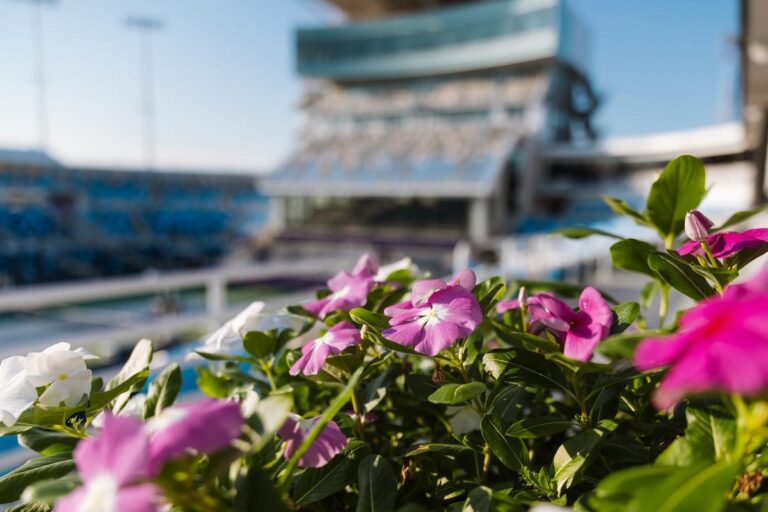 Cincinnati Open Levels Up… And Fans Are Loving It - Cincinnati Open